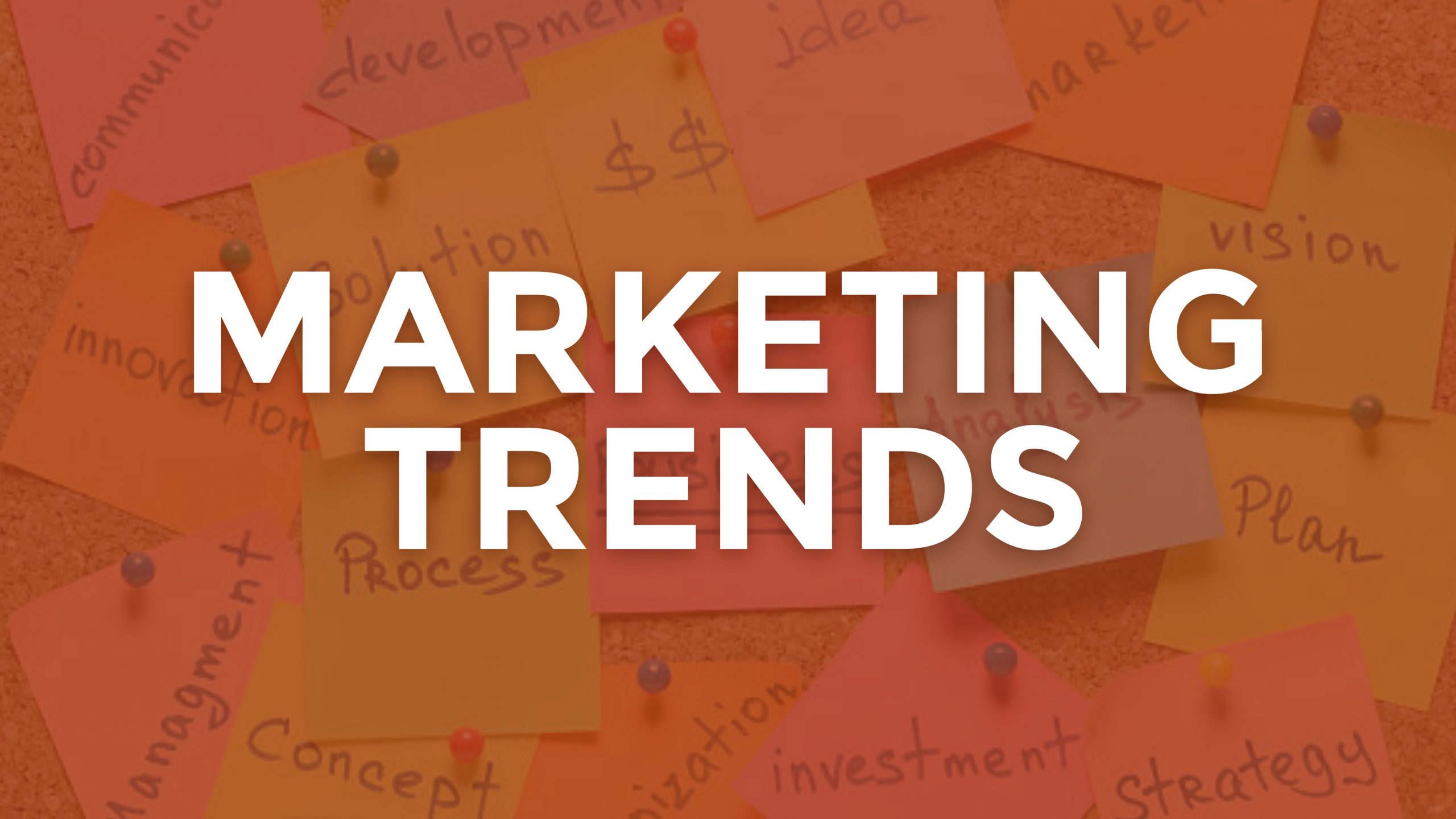How To Stay On Top Of Current Marketing Trend – Techynista